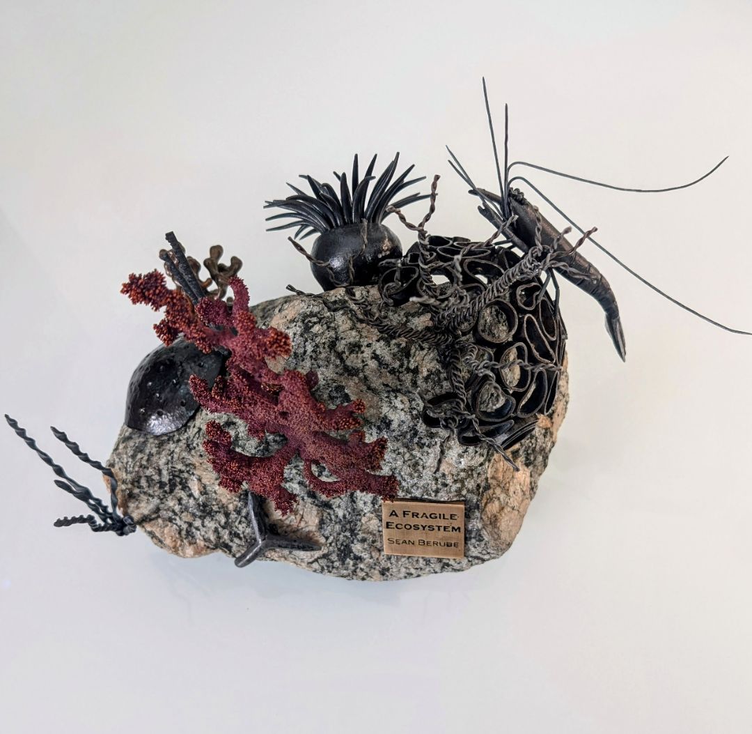 Portfolio – Sean Berube